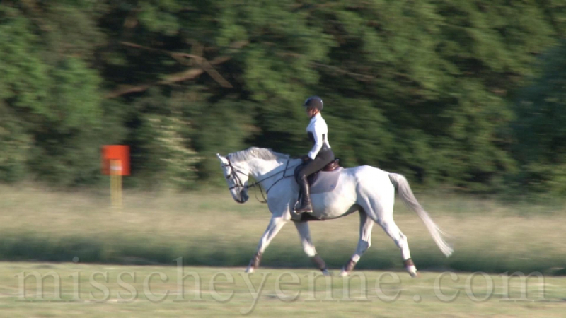 Miss Cheyenne - misscheyenne.com